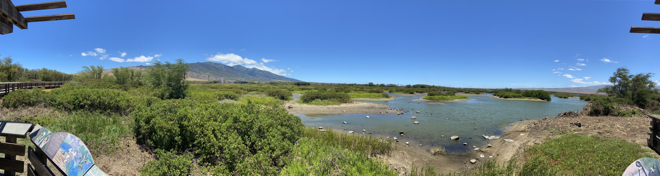 Photos from my visit to Keālia Pond National Wildlife Refuge - Anthony Soto